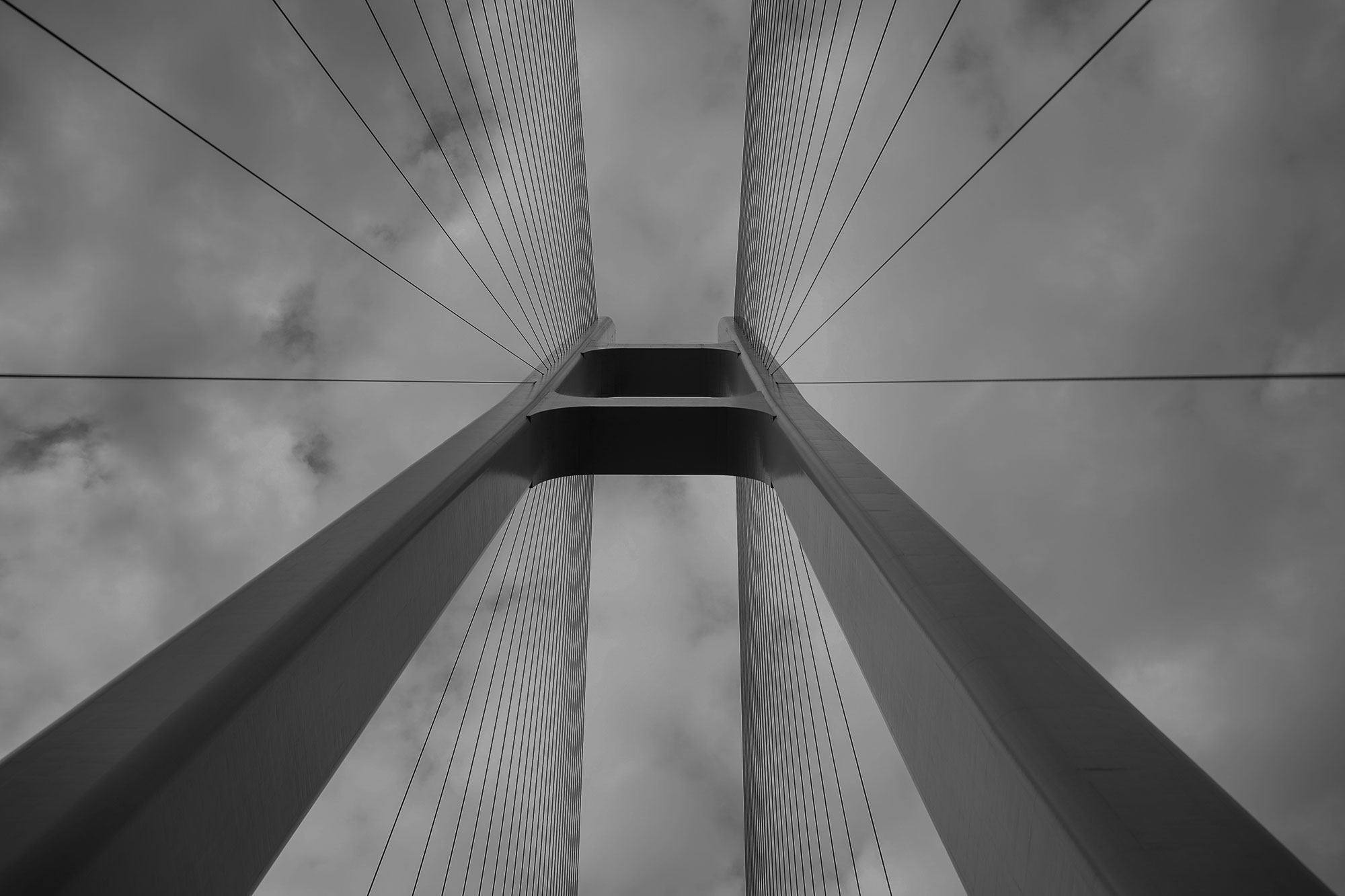 Sell Your Winners? The Counterintuitive Reasons Why Leading ...